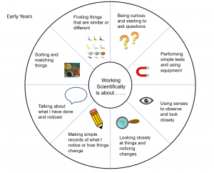 Science – Reed First School