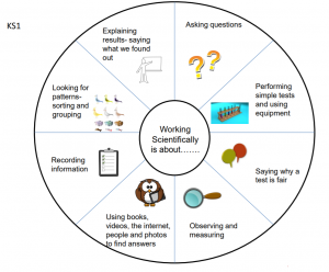 Science – Reed First School
