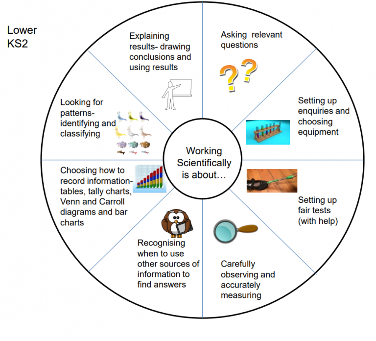 Science – Reed First School